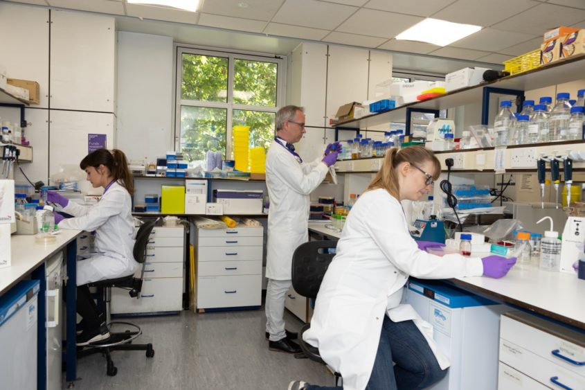 Ground-breaking research into new treatment for pancreatic cancer ...
